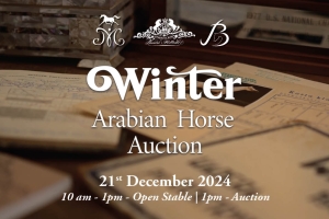 Winter Arabian Horse Auction 2024 | Events | Arabian Essence TV