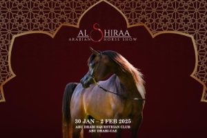 Al Shiraa Arabian Horse Show 2025 | Events | Arabian Essence TV