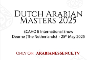 Dutch Arabian Masters 2025 | Events | Arabian Essence TV