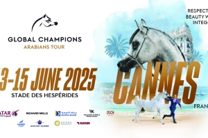 GCAT Cannes 2025 | Events | Arabian Essence TV