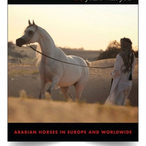 Home | Arabian Essence TV