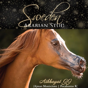 Home | Arabian Essence TV