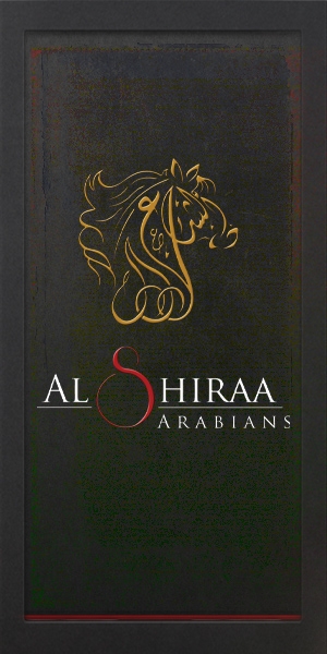 Home | Arabian Essence TV