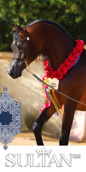 Home | Arabian Essence TV